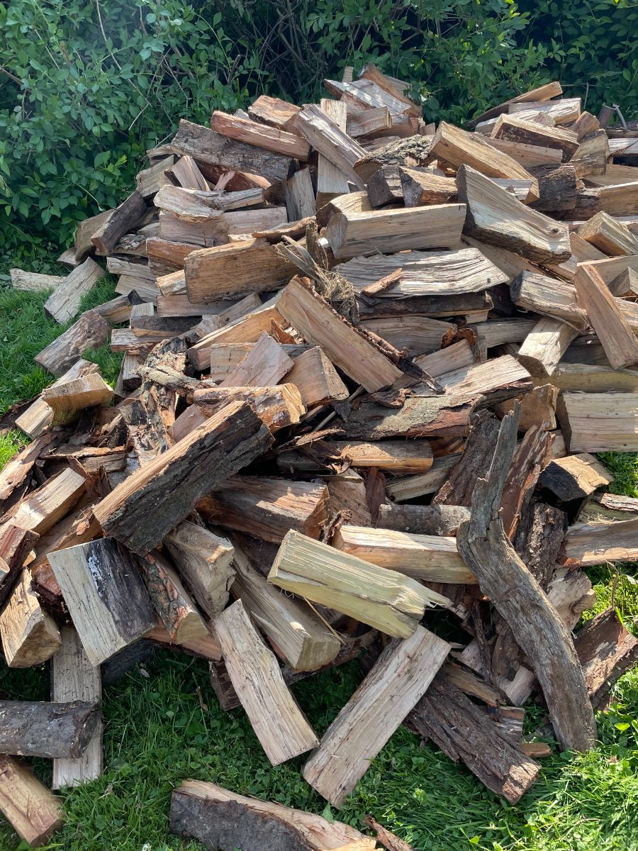 Solo Stove Ranger vs Bonfire: Which Fire Pit is the Best for You ...